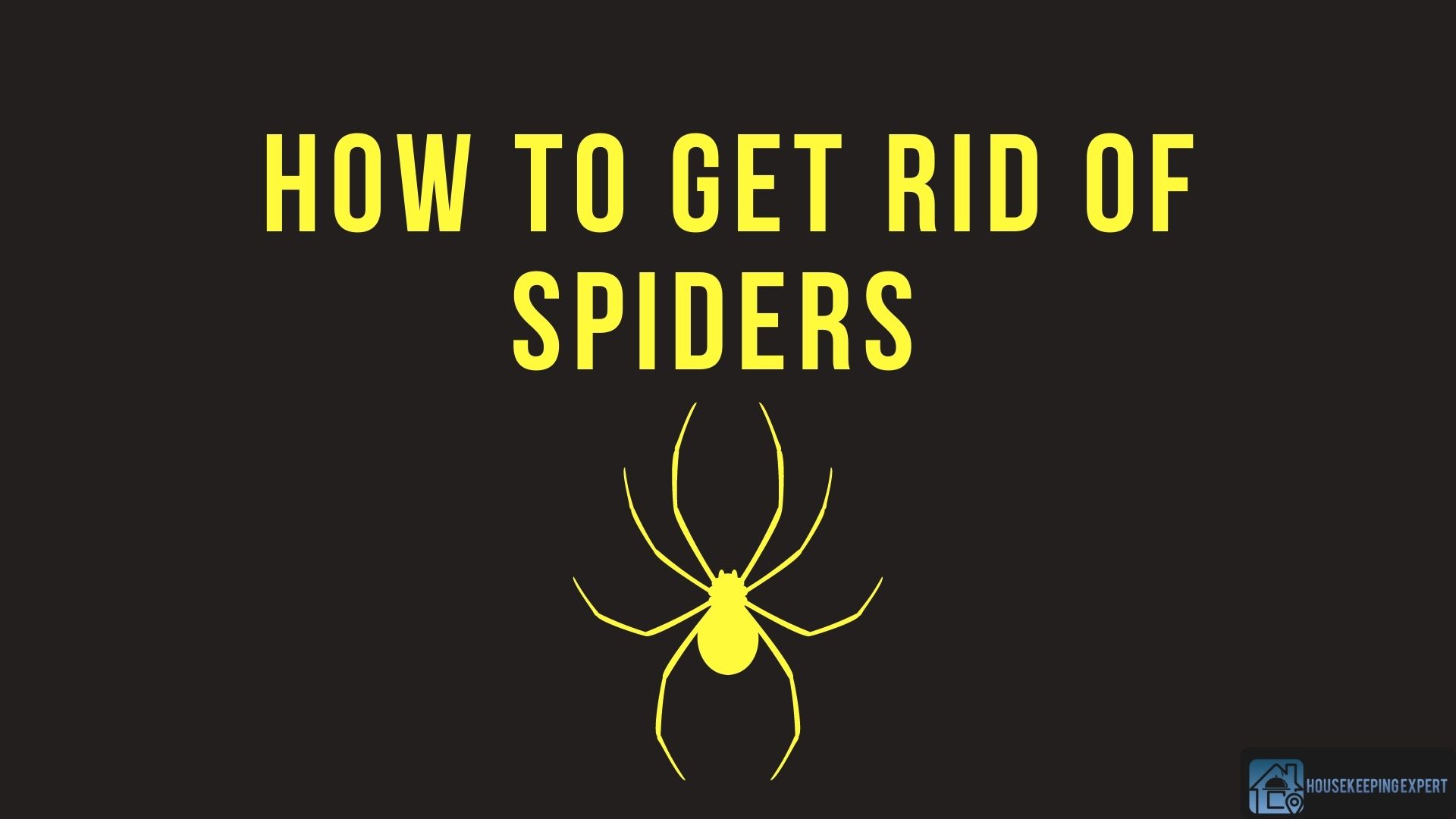How to Get Rid of Spiders | 12 Proven Methods that Work