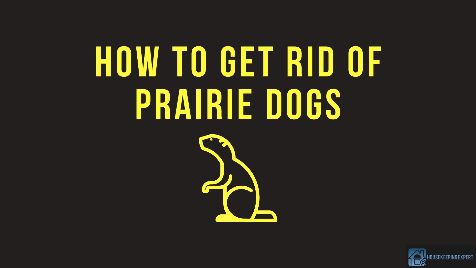 How to Get Rid of Prairie Dogs | Top 7 Tips