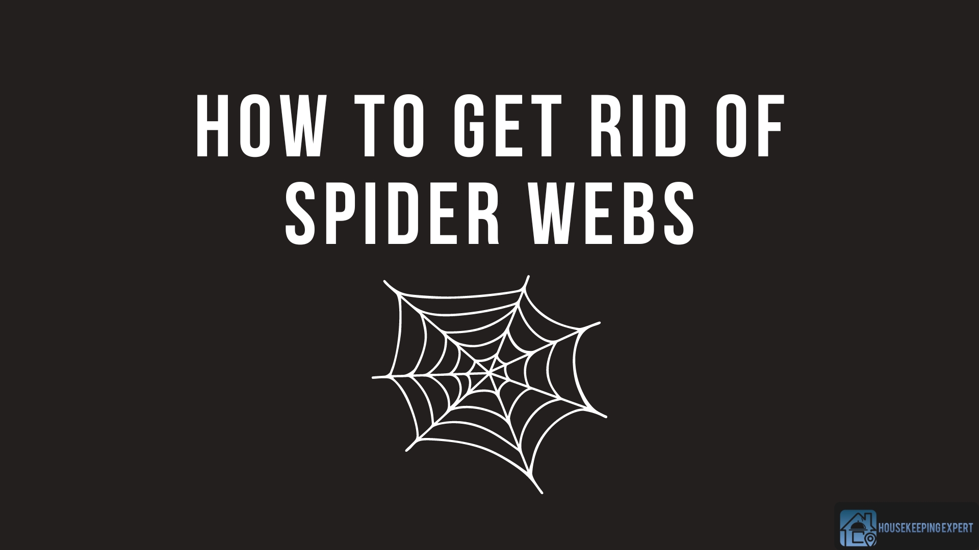 How to Get Rid of Spider Webs | 8 Easy Measures