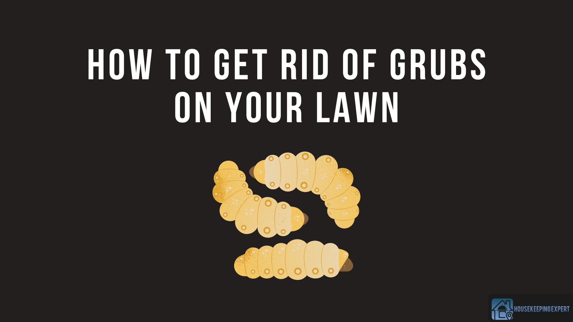 How to Get Rid of Grubs on Your Lawn | Top 8 Natural & Chemical Ways