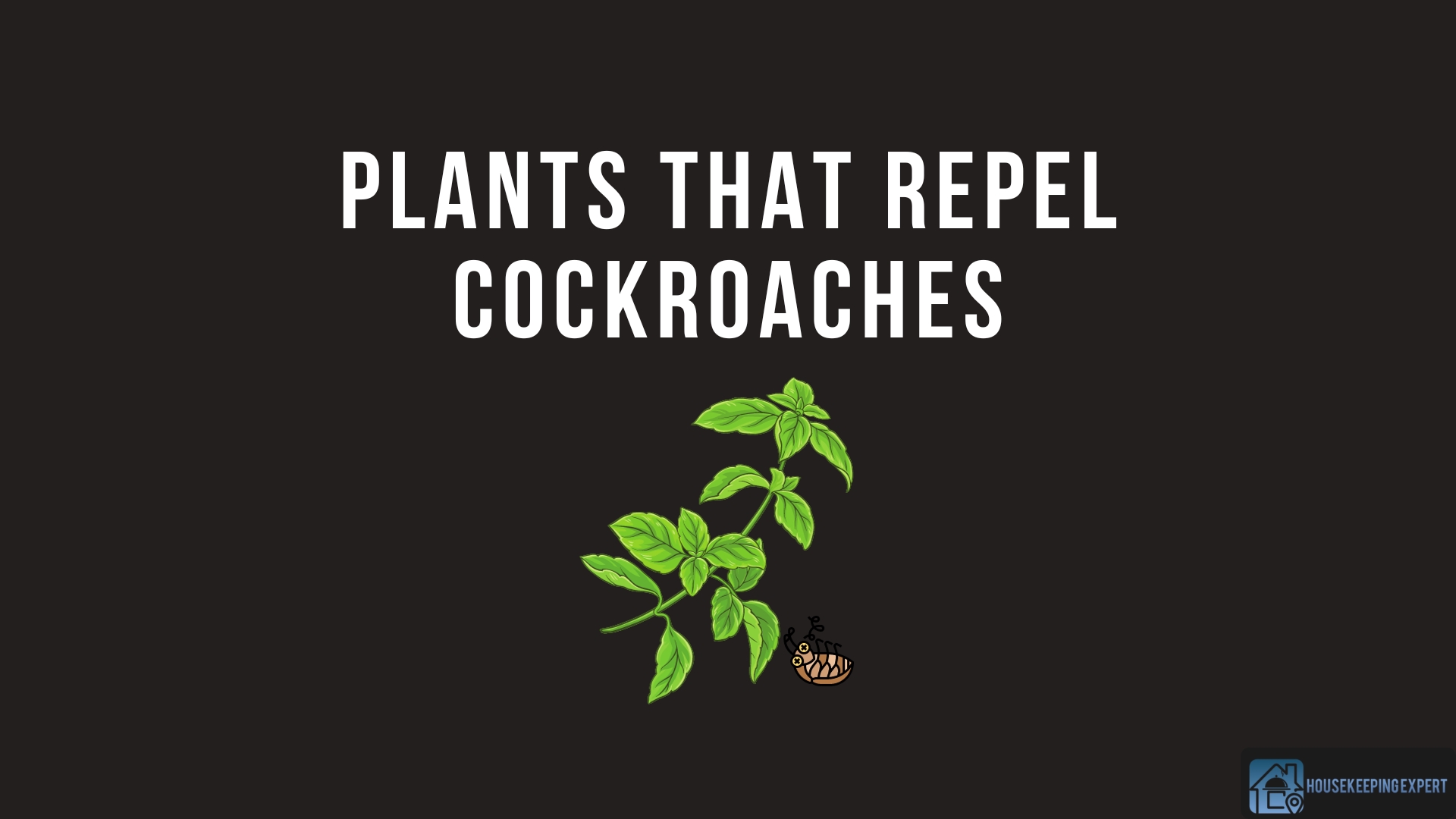 12 Plants That Repel Cockroaches (They Hate Them) 12 Plants That Repel Cockroaches (They Hate Them)